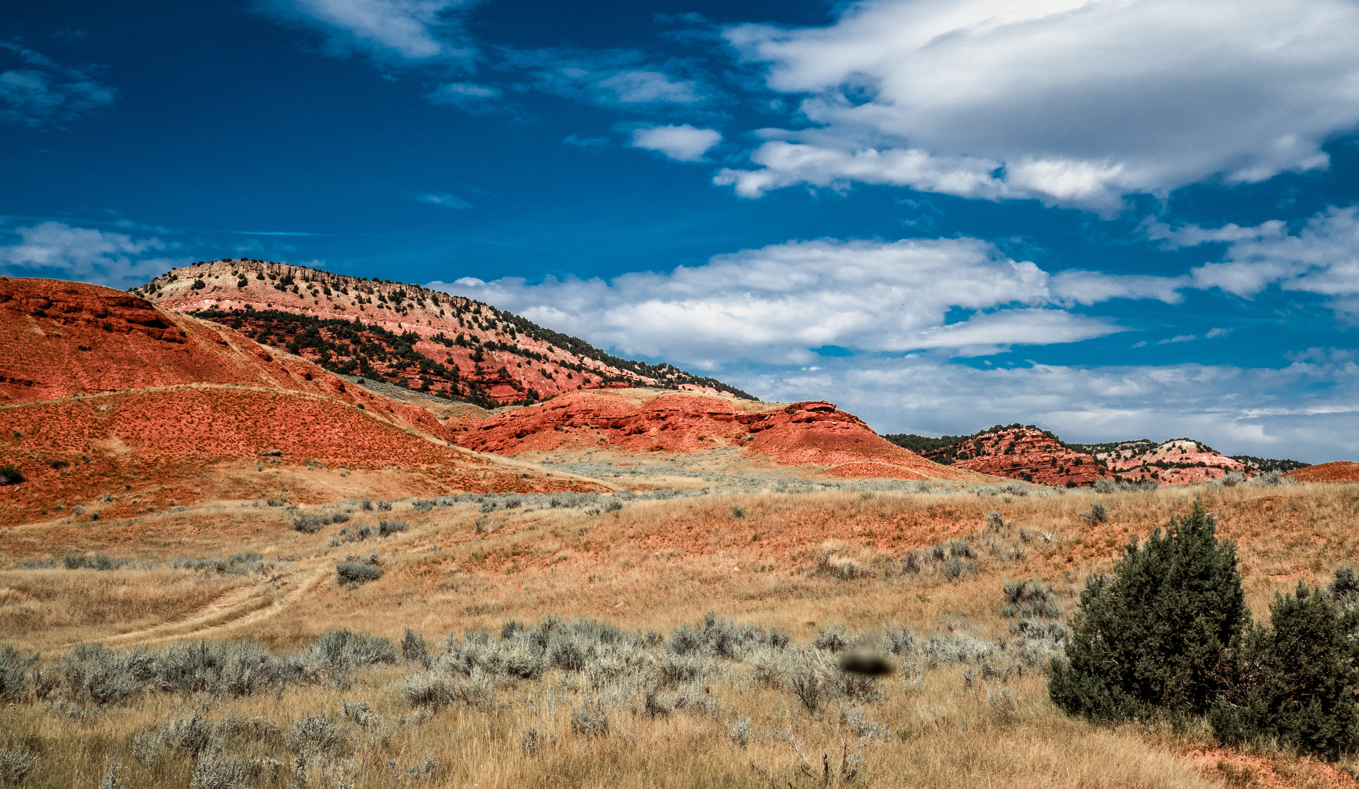 A Nice Place to Dissappear – Light Stalking